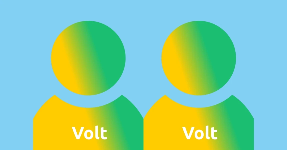 Profile – Volt Deutschland